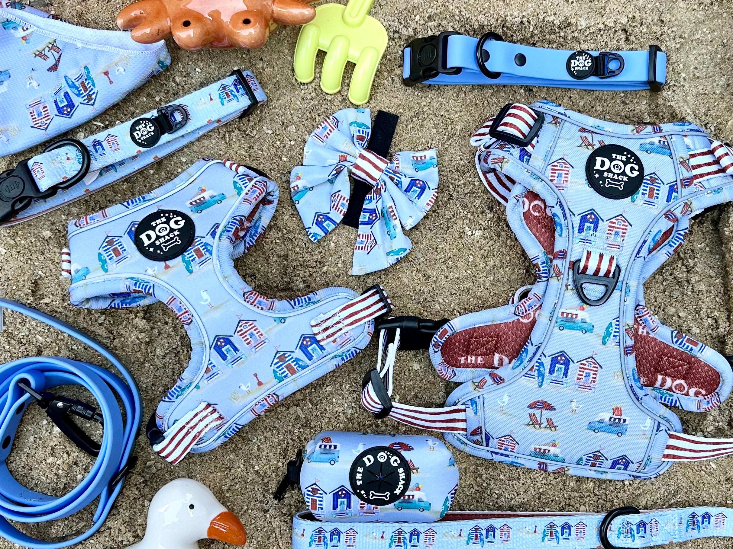 Beach Pup – The Dog Shack