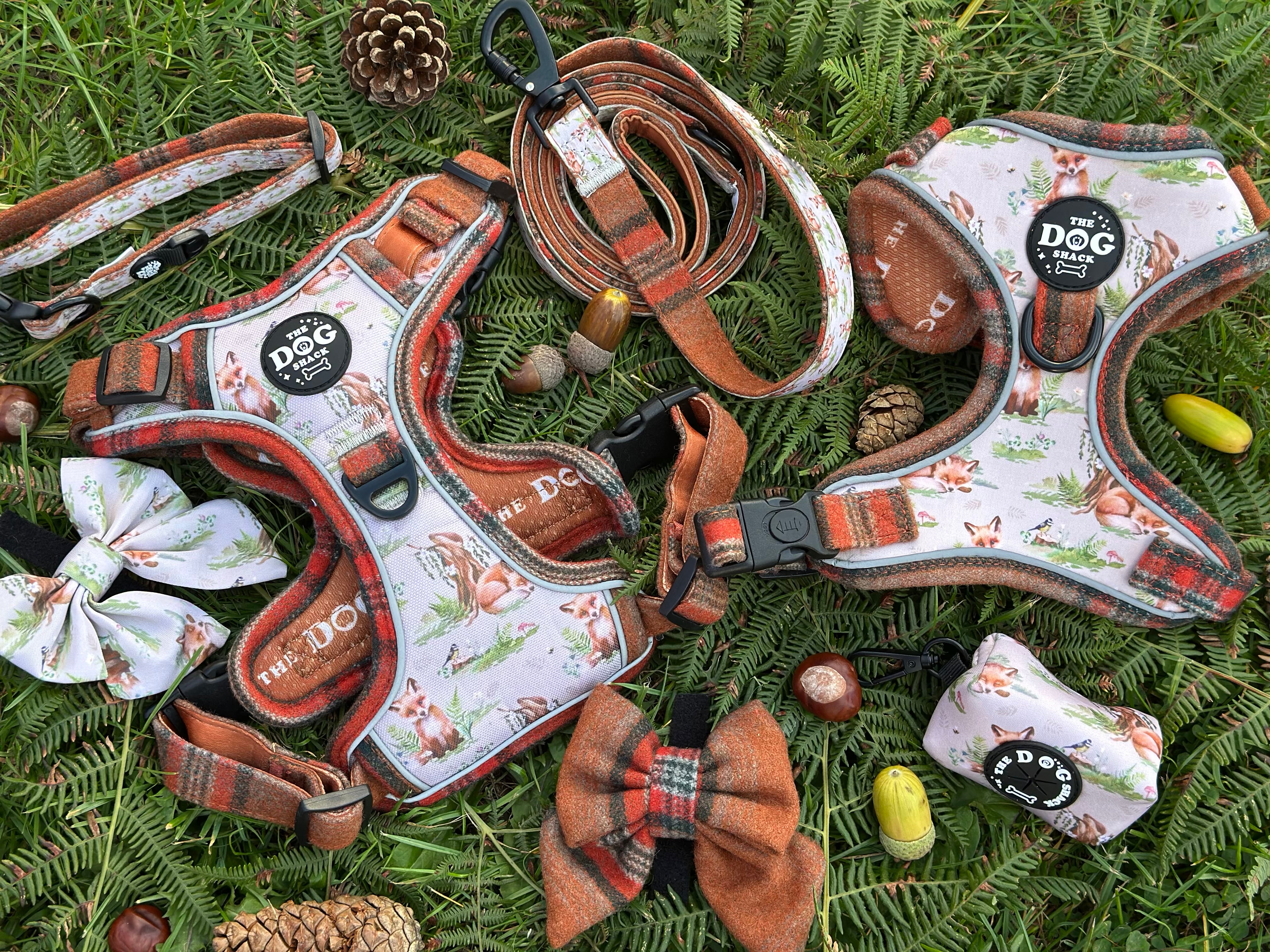Orange tweed x Fern Fox – The Dog Shack